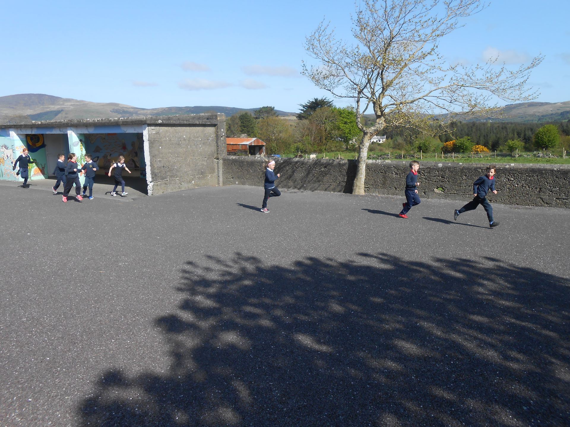 Active Walkway » TOGHER N.S.